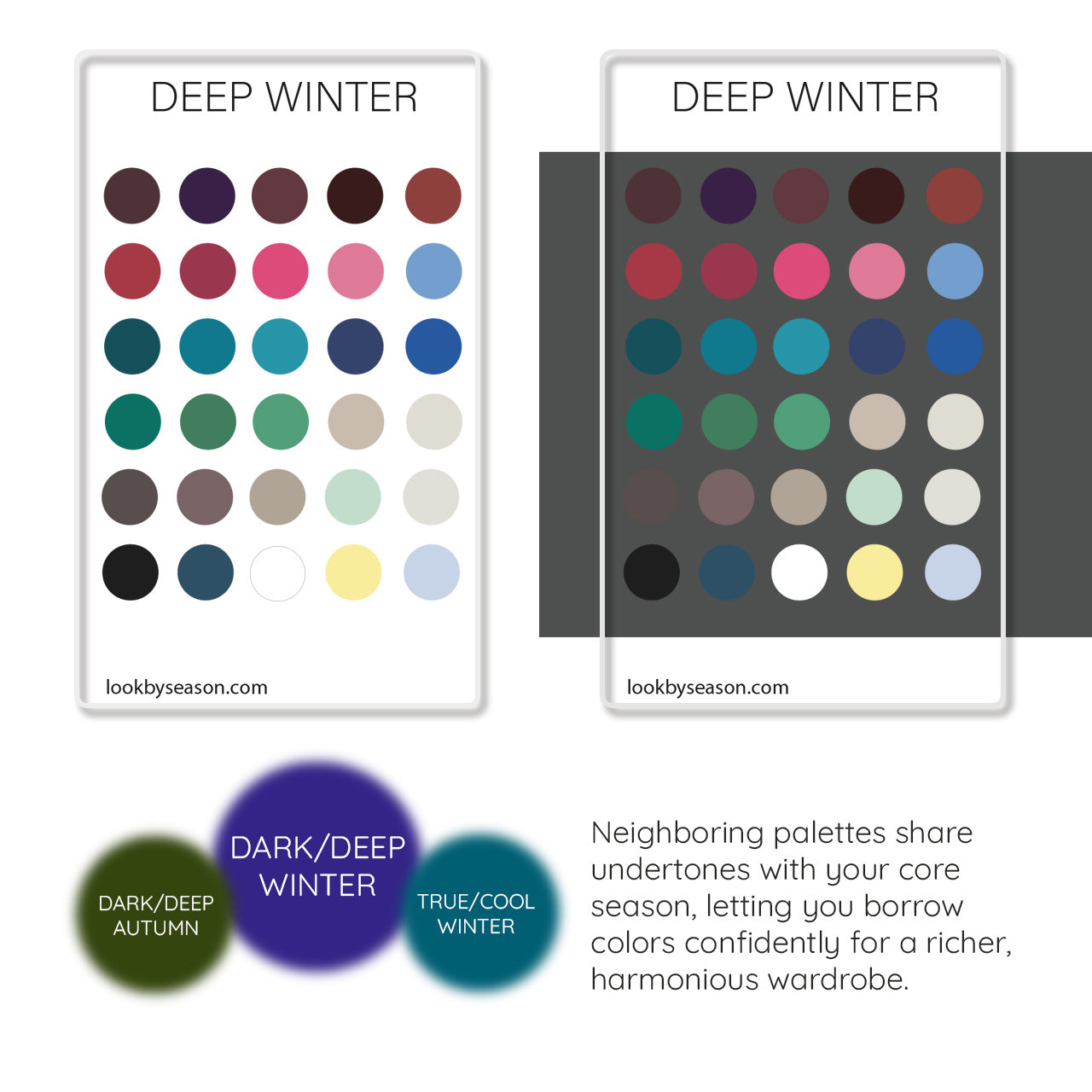 Color DNA Card - Your Cheat Sheet To Instant Glow – Look By Season